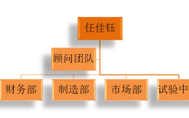 项目组织机构图