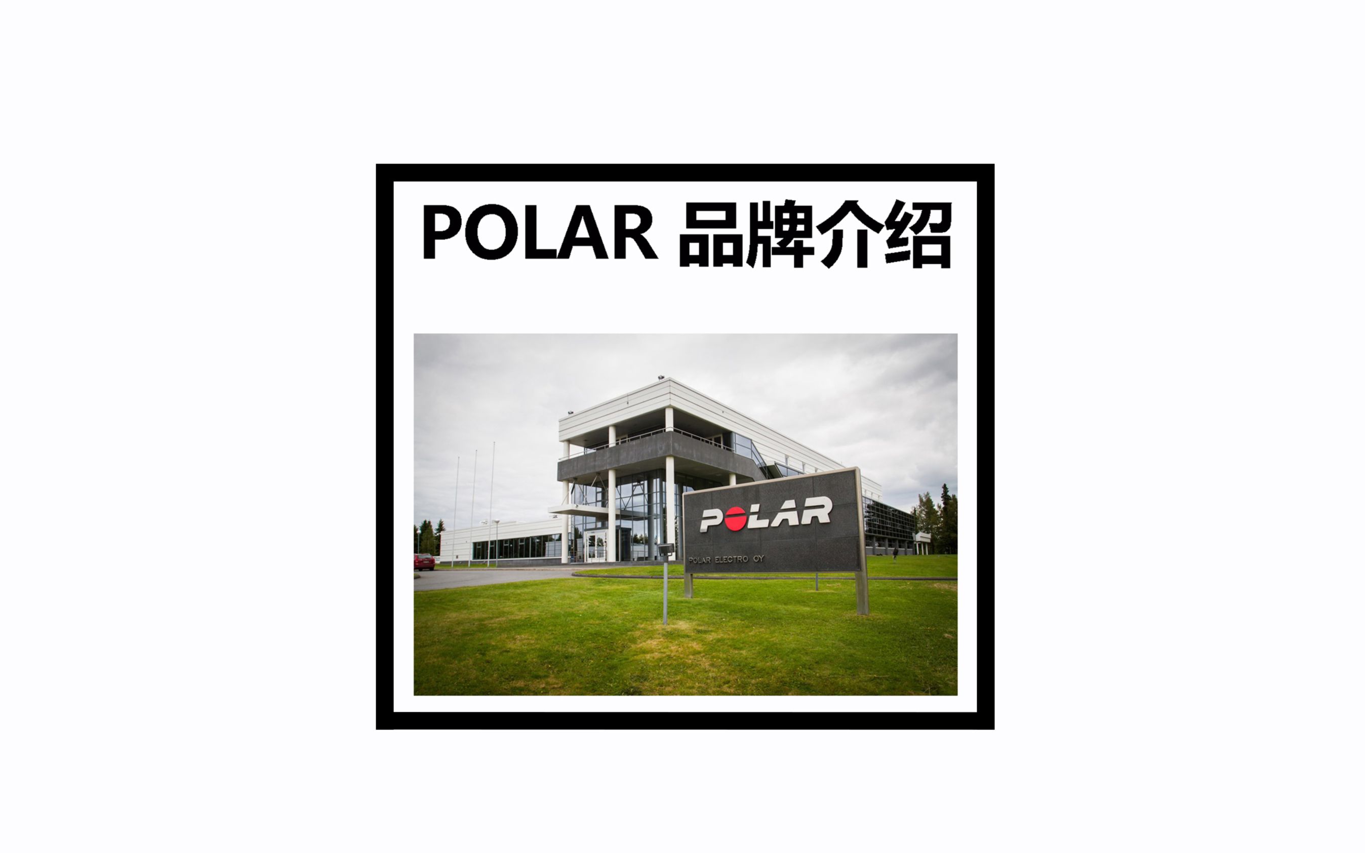 POLAR品牌介绍