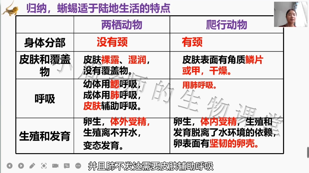 两栖动物与爬行动物,它们分别具备什么特点,你能把它们区分开吗? #我...
