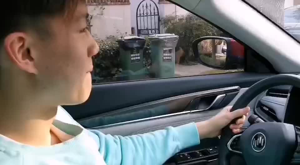 ...不能再燃烧化石能源,他学开车直接开电动汽车!我一激动,让他用我的...