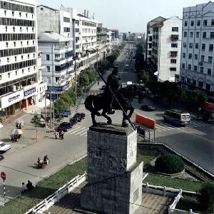 香菜拌折耳根当饭吃 