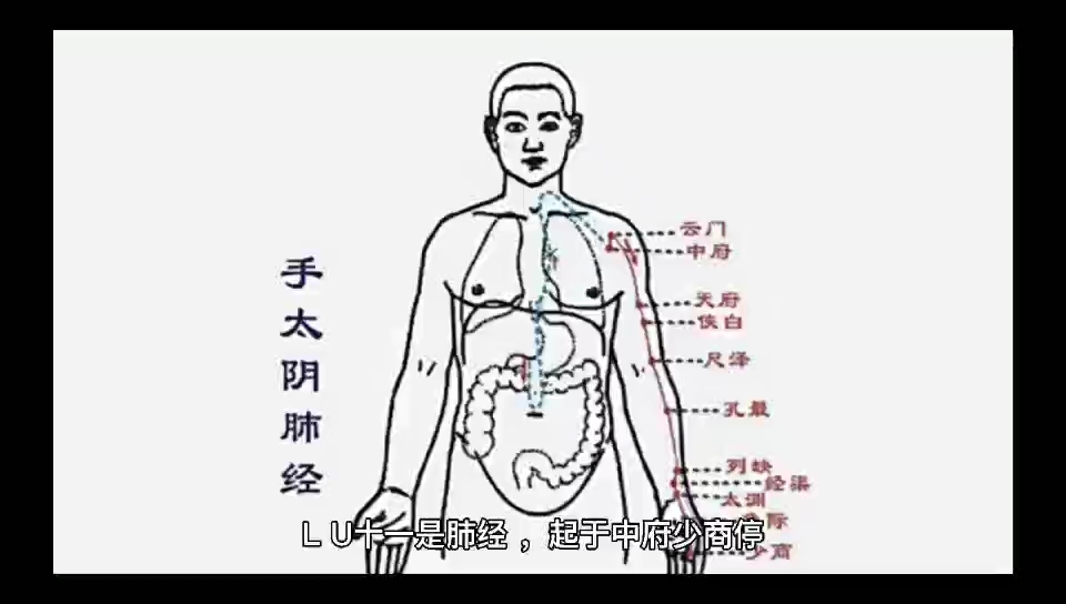 十二经络之手太阴肺经速记歌诀