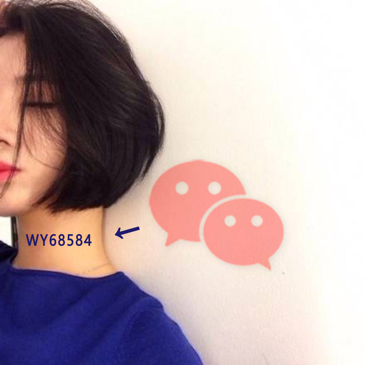 维立呃溦WY68584 