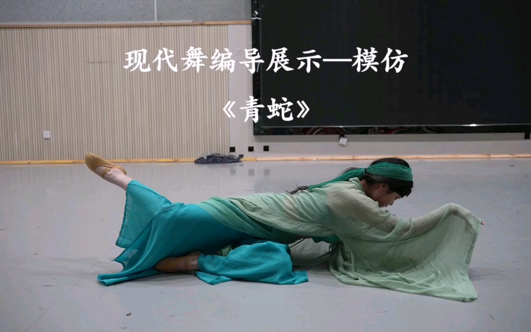 大一舞蹈编导专业 单人 模仿编舞技巧 动物作业青蛇