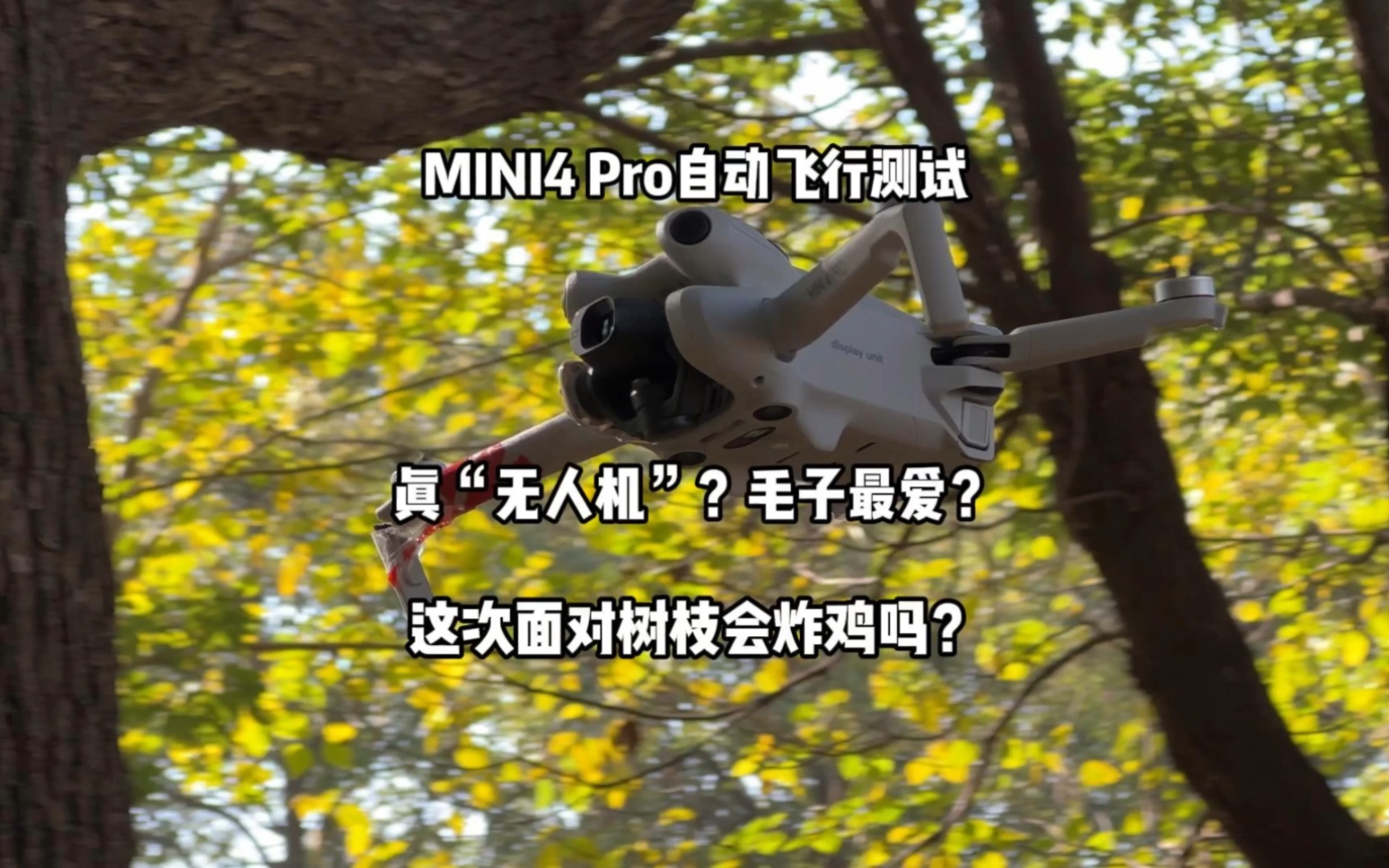 大疆mini4pro自动飞行测试 真“无人机”?毛子最爱?这次面对树枝会...