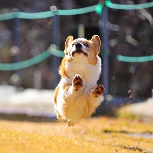 有趣有趣有趣的姑娘 