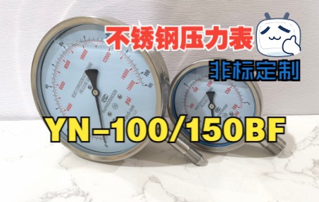 YN-150BF不锈钢压力表