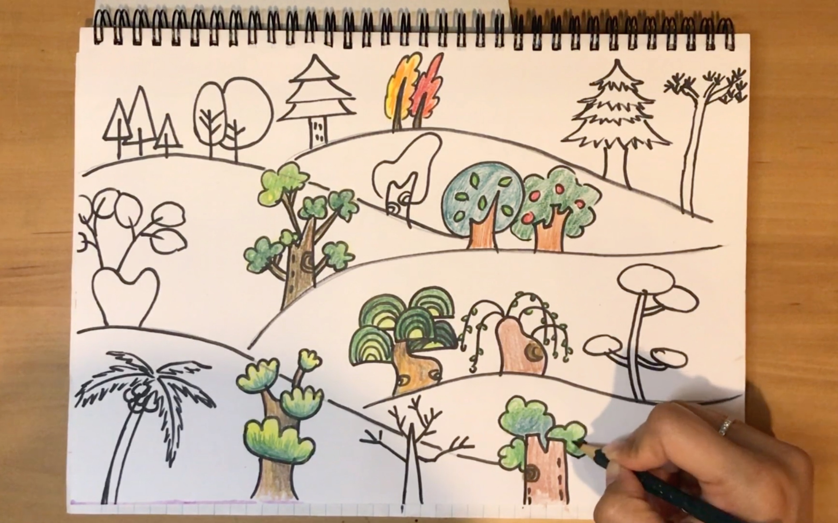 【卡通画】大树|【儿童画】大树|【儿童画】大树怎么画,【简笔画】树,...