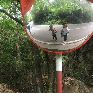 温迪嘚吧嘚 