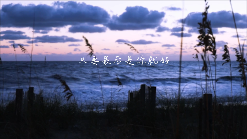 从你的全世界路过台词配音