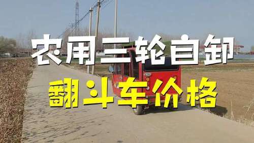 惊爆价!农用三轮自卸翻斗车,万元预算如何选到性价比之王?