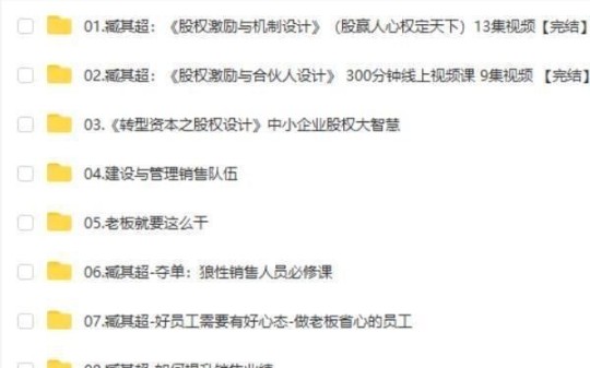 臧其超三藏资本股权激励与机制设计 新商业模式36个底层逻辑