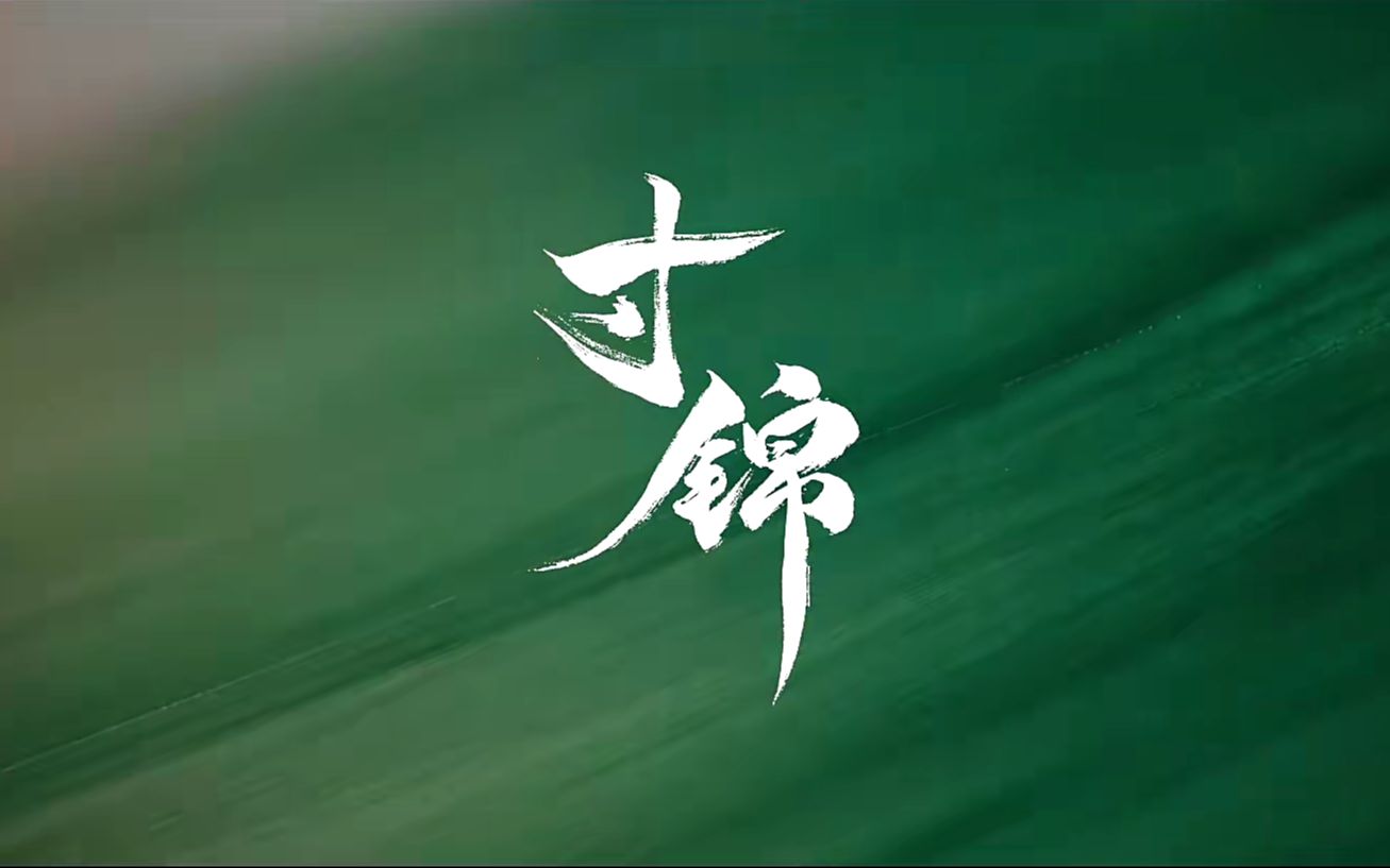 【闪耀暖暖x南京云锦研究所】《寸锦》——云锦探秘纪录片