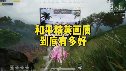 手机VS高清模拟器差距有多细节吊打十条街