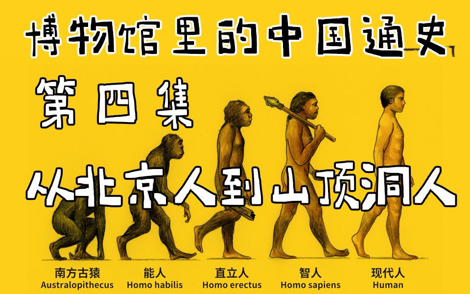 【博物馆里的中国通史④】从北京人到山顶洞人