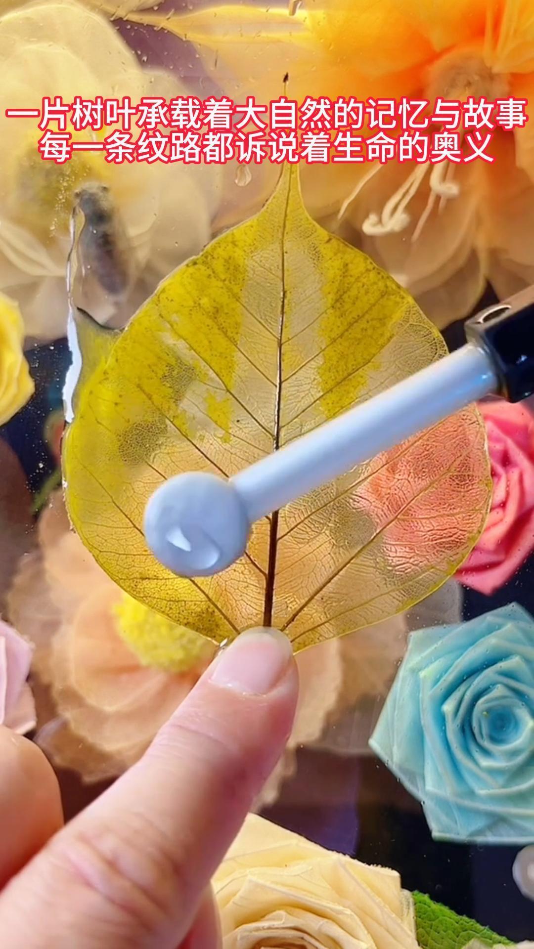 一片树叶承载着大自然的记忆与故事,每一条纹路都诉说着生命的奥义