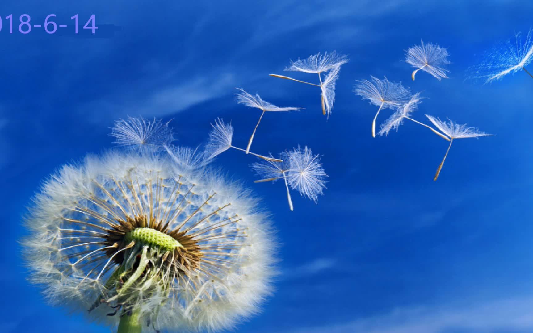 柚子12班纪念册重置版