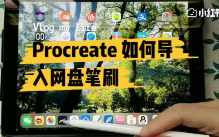 百度网盘笔刷导入procreate 教程