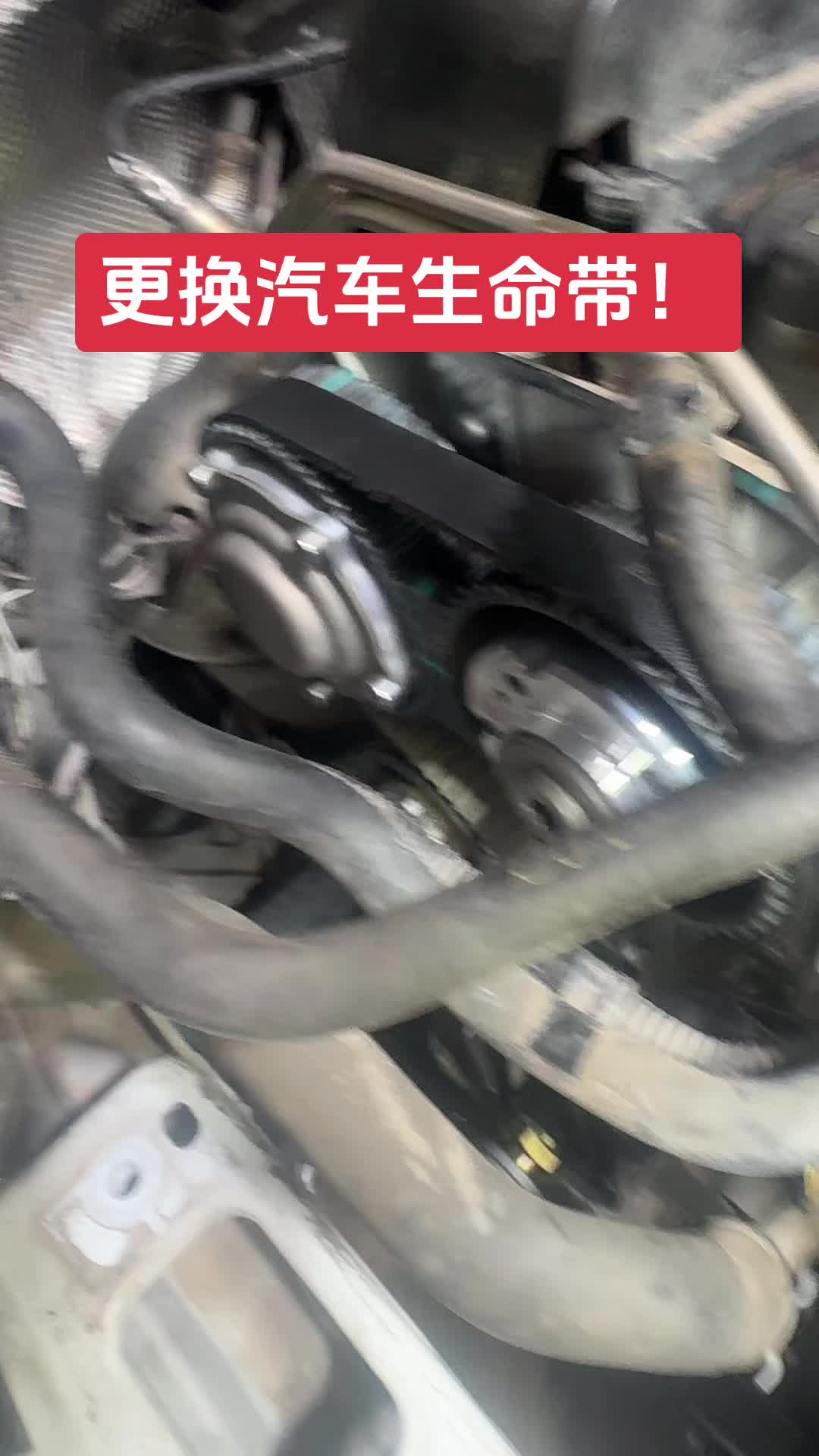 #汽车保养与维修 #支持手艺人的点赞 #专业底盘整备 #正时皮带 #专业...