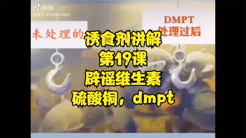 诱食剂讲解第19课 辟谣硫酸铜dmpt和维生素
