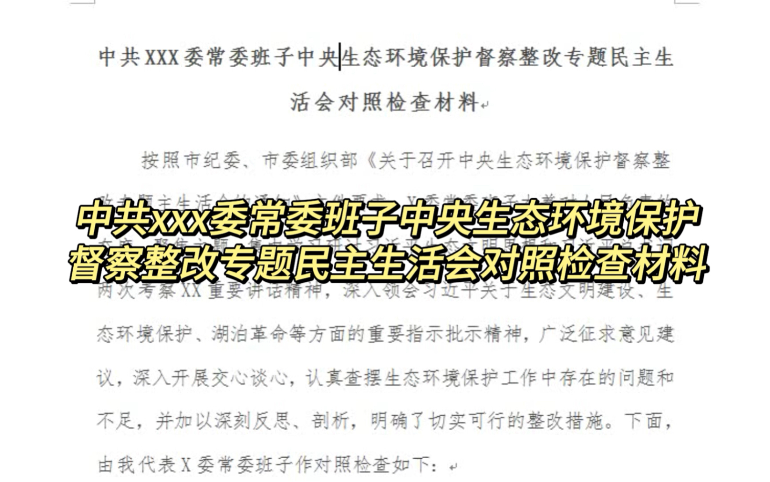中共xx委常委班子中央生态环境保护督察整改专题民主生活会对照检查...