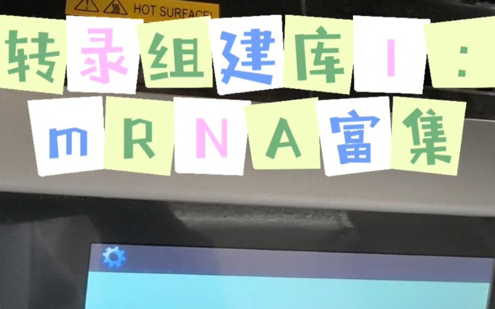 转录组测序—转录组建库—mRNA文库构建—RNA—seq