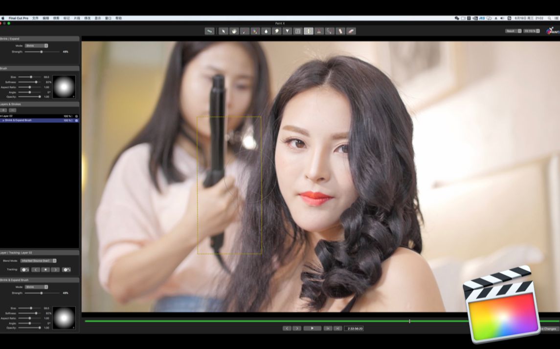 FCPX瘦脸神器 Paint X新功能教学 免费下载