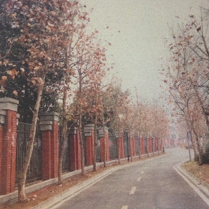 山大医学僧seng 