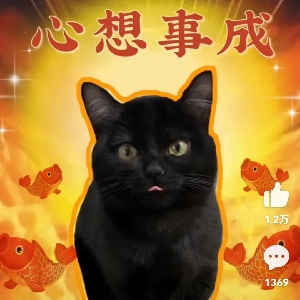 米谷米谷biubiu 