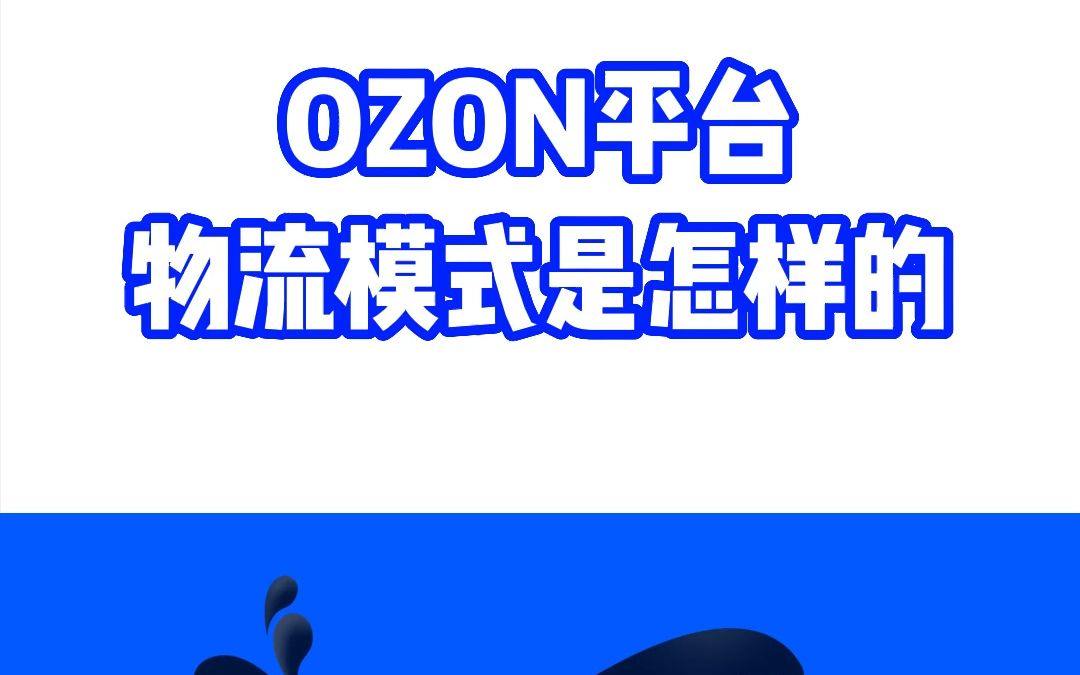 ozon平台物流模式是什么样的?