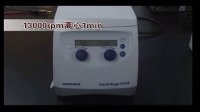 质粒DNA的提取定量和鉴定