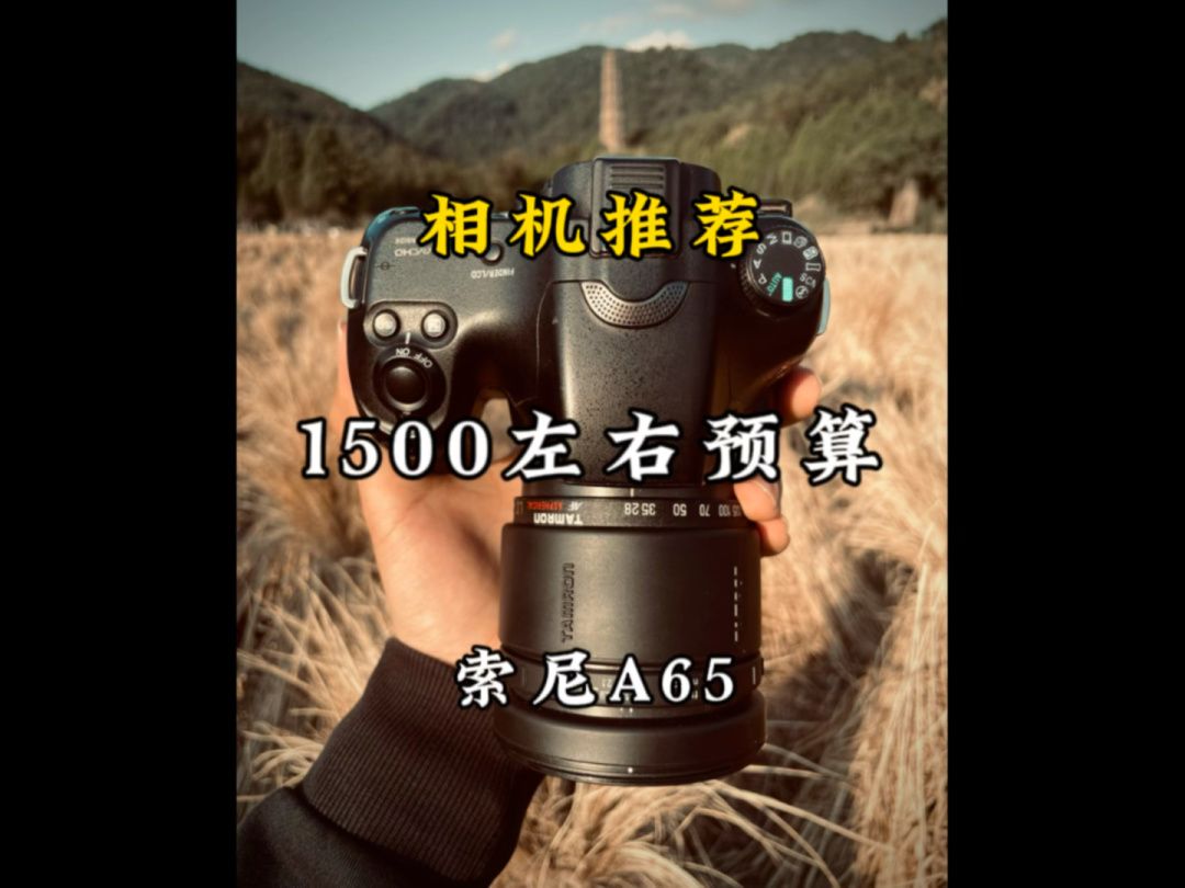 1500左右预算相机推荐#测评#索尼a65相机#二手索尼a65相机