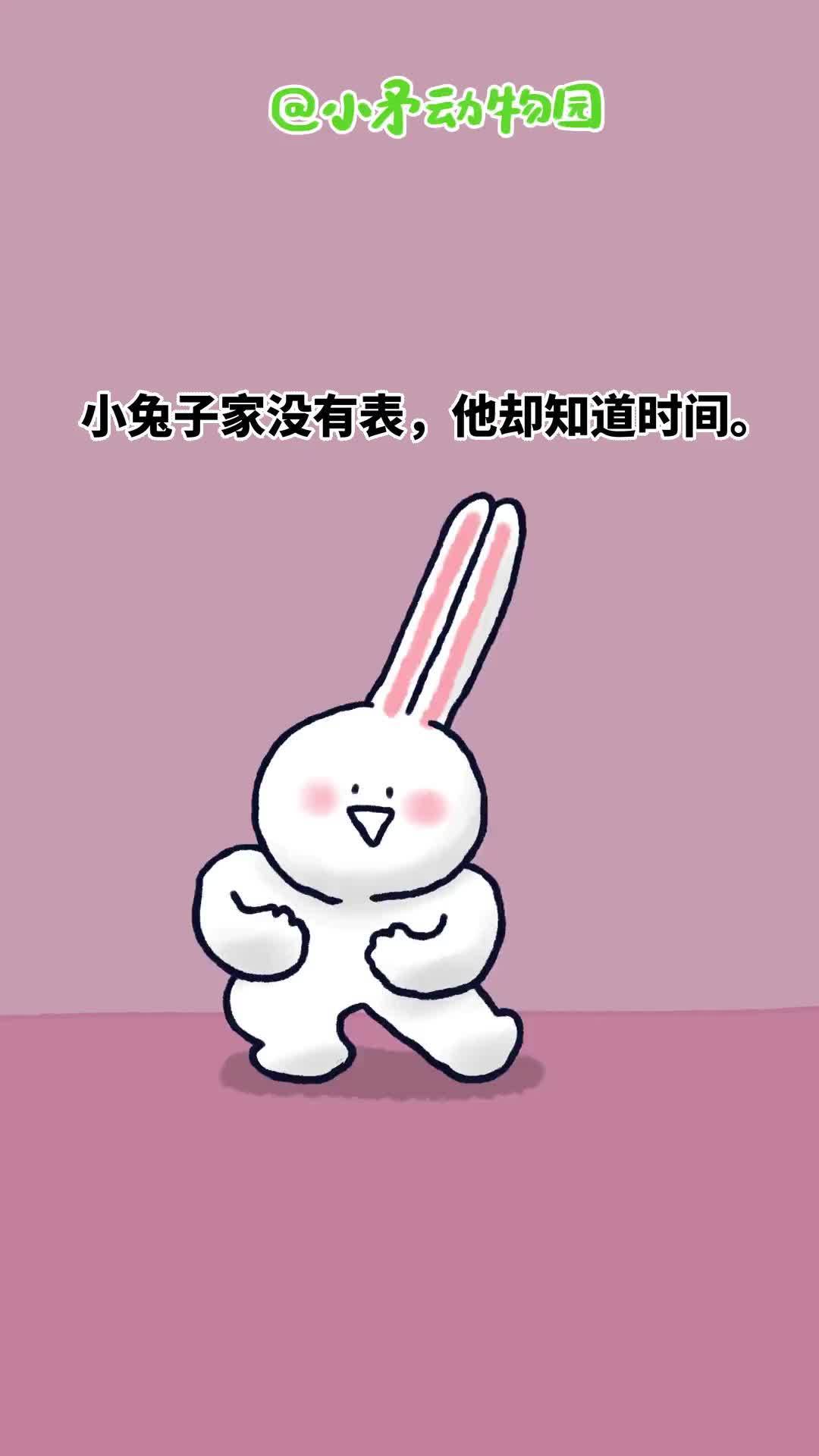 小兔子看时间,真方便!小兔子看时间,真方便!