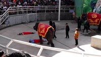 大连森林动物园～泰国大象踩人表演20170513