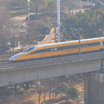 ZYS266601 