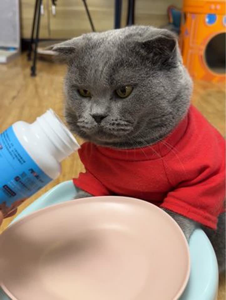 每天几片就可以满足猫咪日常所需的11种复合维生素 #萌宠出道计划 #...