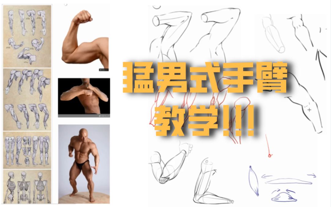 【板绘漫画手臂教程】猛男式手臂教学,想画猛男不是梦!要有这种手臂...