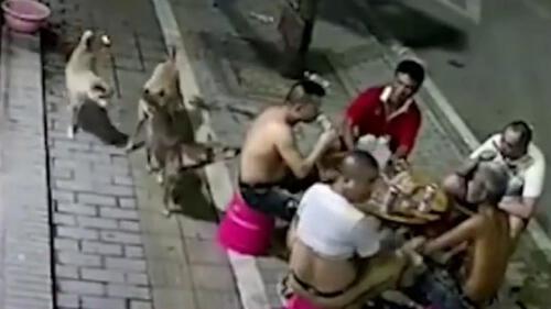 两条狗路边打架,直接把街边吃夜宵大哥的饭桌都给掀了!