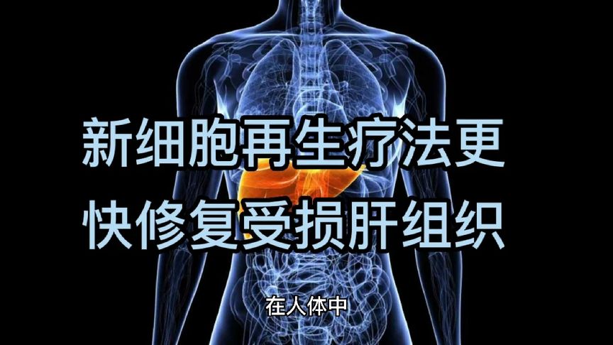 新细胞再生疗法更快修复受损肝组织