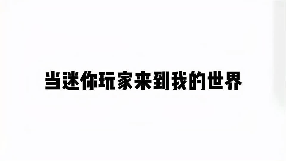 我的世界MC:当迷你玩家来玩我的世界