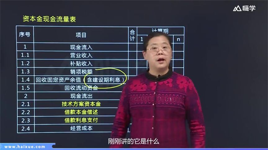 013.1Z101000(11)技术方案现金流量表的编制1