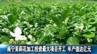 南宁茉莉花加工投资最大项目开工 年产值达亿元 110103 广西经济信息...