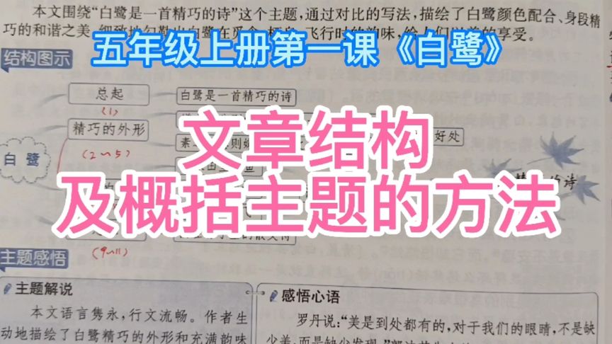 五年级上册第一课《白鹭》文章结构及主题概括