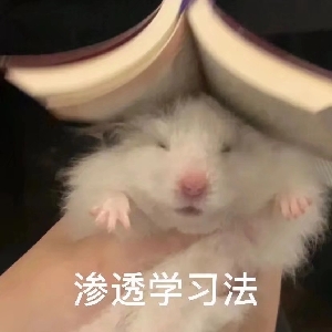 拴集爬爬 