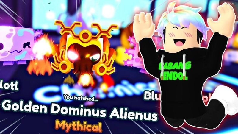 ROBLOX宠物模拟器:宠物大升级!闯关速度超快,心态爆棚!星星1262