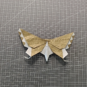 Origami62 