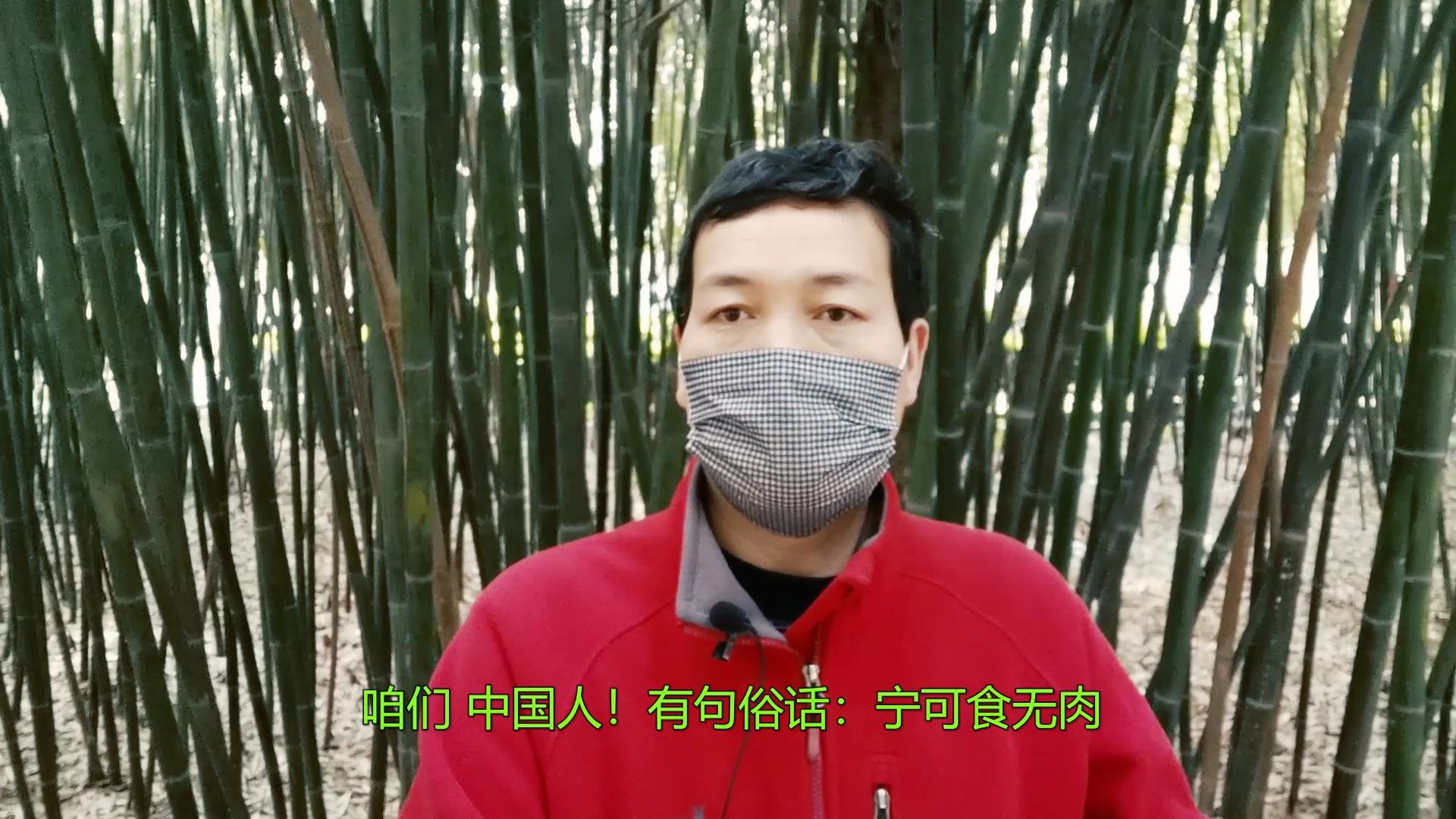告诉亲们!竹子移植“最佳时间段”,是什么时候