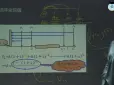 2016中级会计职称考试《财务管理》第二章 财务管理基础02