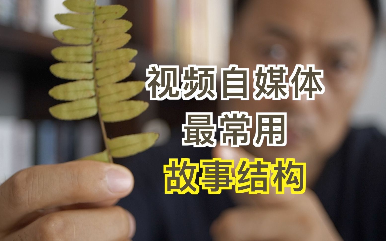 视频自媒体最常用故事结构,树形结构运用分析2020