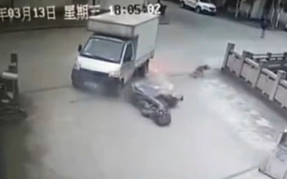 温州男子被狗追撞了车 民警:狗主人要负责任